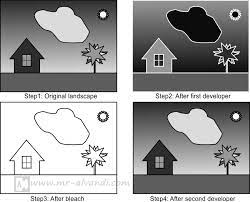 How to Avoid Puddles and Suffering – Friend to Yourself